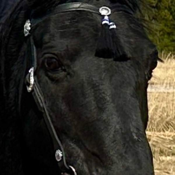 West Coast Tack Reins Heavy Latigo & Hermann Oak Black Harness Leather ...