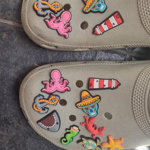 Capybara Clog Accessory - Capybara Shoe Charm - Carpincho Clog Clips ...