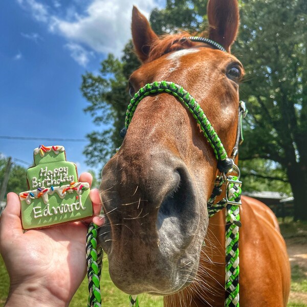 Alpha Kappa Alpha Cookies/aka Cookies - Etsy