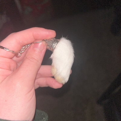 Rabbit Feet Craft Taxidermy 1 Set of 4 Real Matched Fur Bunny Oddities ...