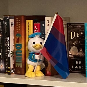 2'x3' Aromantic Pride Aro Pride Flag | Etsy