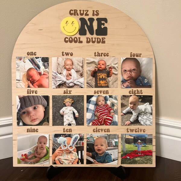 First Year Photo Board | One Happy Dude | Monthly Milestones | 1st ...