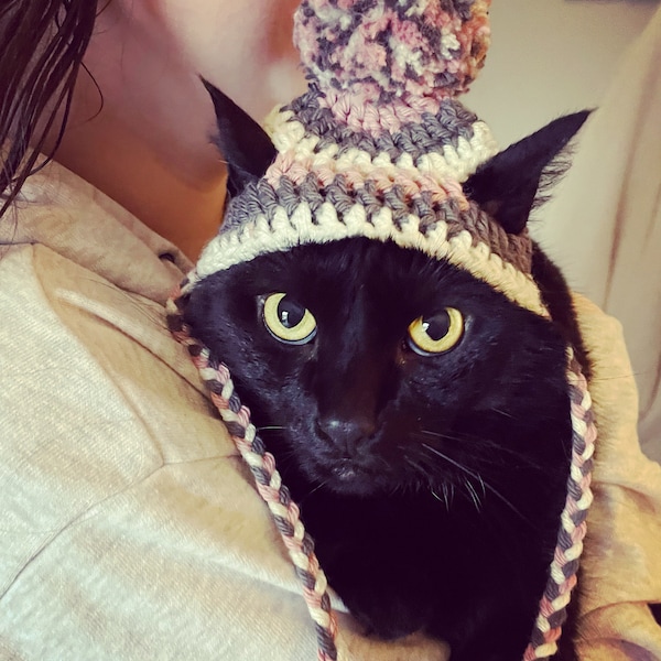 Crochet Pattern: Striped Beanie Hat for Cats, PDF Digital Download ...