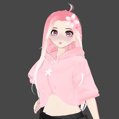 Vroid Long Pink Hair With Braid Hair Preset - Etsy
