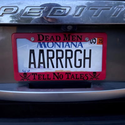 Lilo and Stitch Inspired License Plate Frame, Ohana is Essential ...