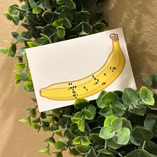 Audiology Spondee Word List Sticker, Audiologist, Audiology Student ...