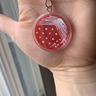 E.coli Blood Petri Dish Keychain / Microbiology Agar Art / Bacteria ...