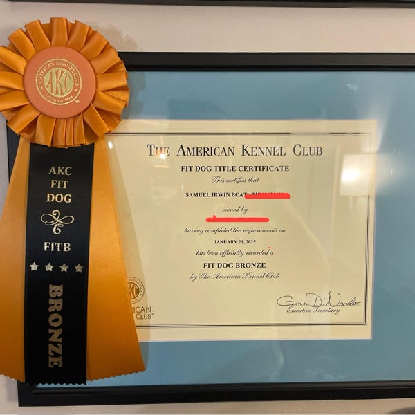 AKC Virtual Rally Title Ribbon Rosette - Novice, Intermediate, Advanced ...