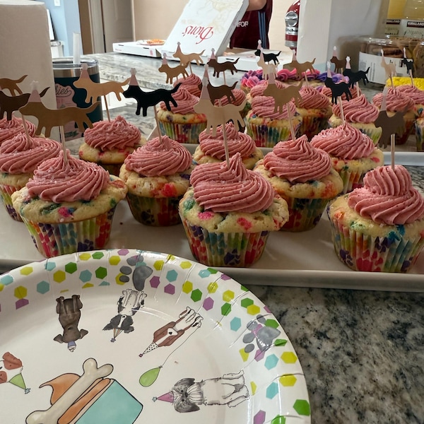 Birthday Patch Letter Cupcake Toppers, Girl Birthday Party Decor, SCL ...