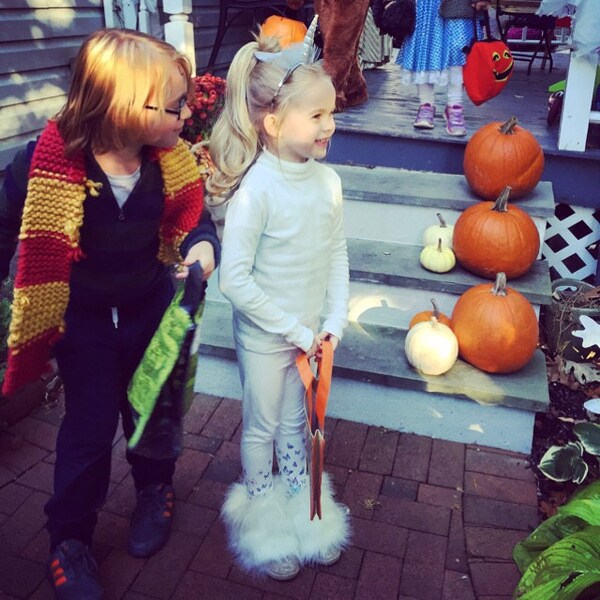 Moth Cape - Moth Wings - Moth Costume - Etsy