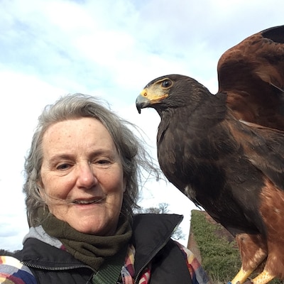 Apache Agate Slab - Etsy