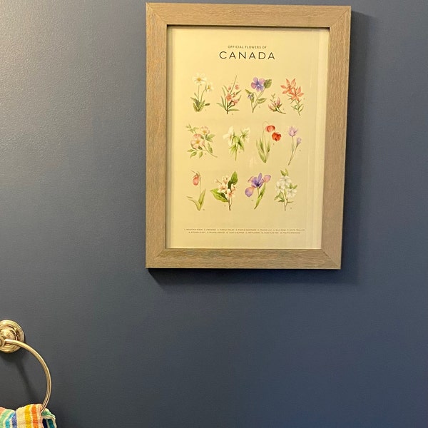 Saskatchewan Prairie Lily | Art Print, Canada, Province, City Art ...