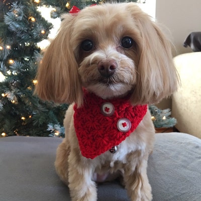 Small Breed Dogs Crocheted Scarf, Dog Neck Warmer, Dog Red Color Neck ...