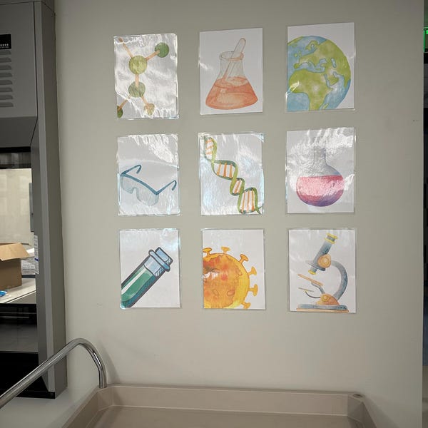 Science Classroom Posters High School, Elementary Classroom Decor ...