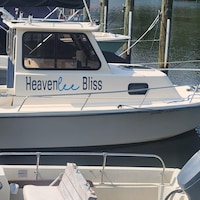Marlin Decal | Blue Marlin Anchor Decals | Fishing Stickers | Marlin ...