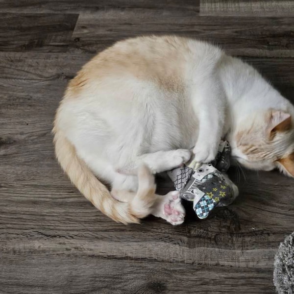 Refillable Catnip Cat Mat - Etsy