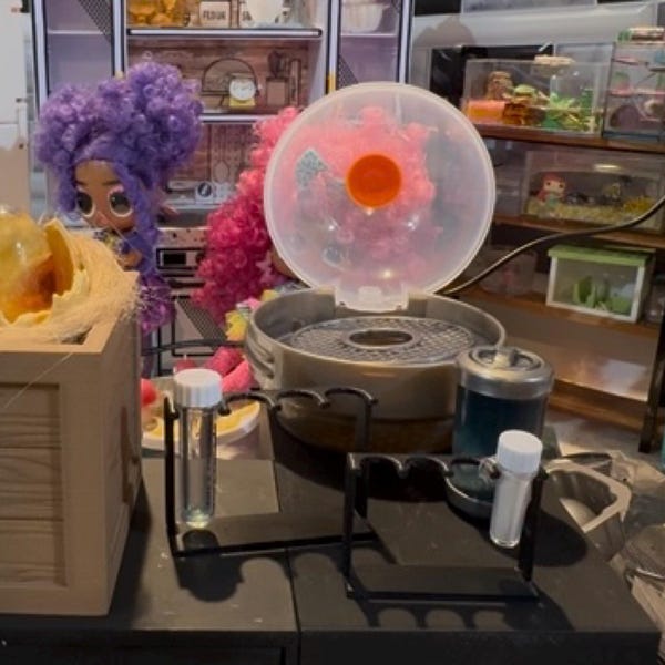 Lil Mcdonald's Display | Happy Meal Display | Wall Mountable Shelf | 3D ...