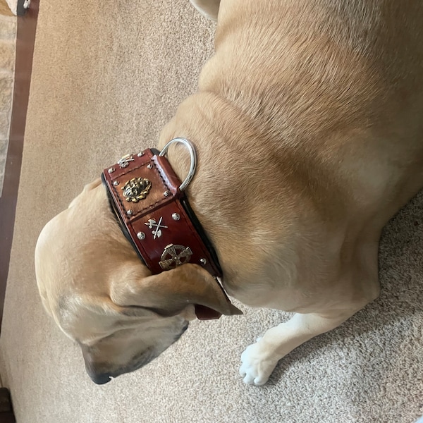 American Bully Leather Dog Collar Handmade , Bully Collar , Padded Dog ...