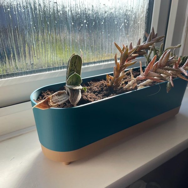 Rounded Cube Pot, Planter, Pot With Feet, Coloured Pot, Indoor Plant ...