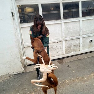 Alien Ellen Ripley Uniform USCSS Nostromo Coveralls Crew Set Patches ...