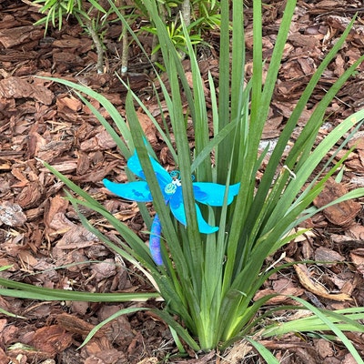 Eye Art Sculpture Garden Stake Eye Doctor Gift Potted Plant - Etsy