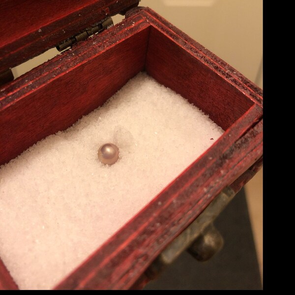 Open an Oyster With Pearl Natural Color Akoya Saltwater Oyster, Pick a ...