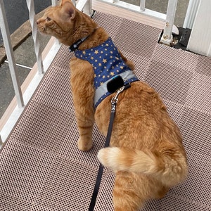 Safetykatz Walking Jacket Red Custom Made Cat Reversible | Etsy