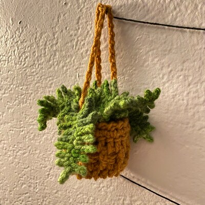 Car Fern Crochet PATTERN by Pamelambie Car Plant - Etsy