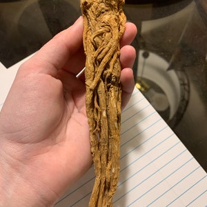 Master Root Oil | Etsy