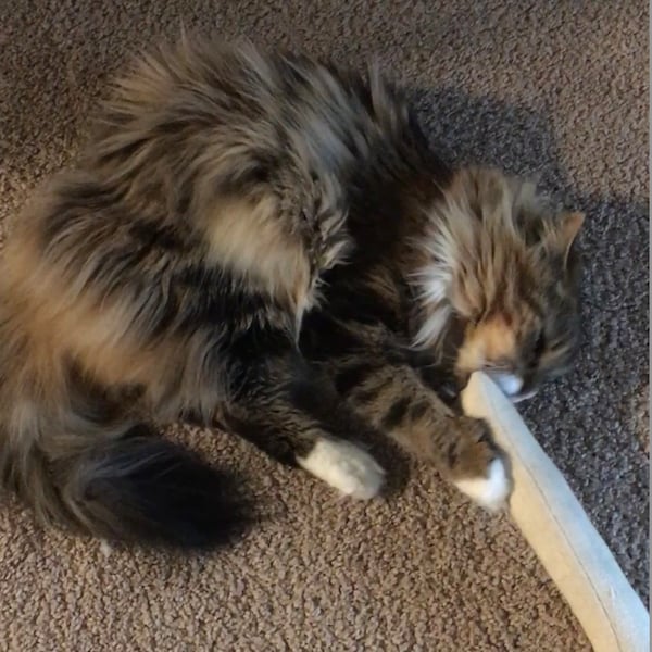 Hemp Fabric and Feathers Cat Kicker Toy With Catnip by Your Choice ...