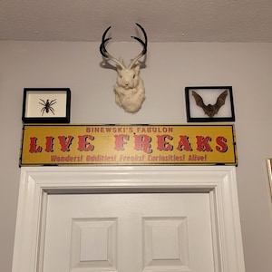 Custom Carnival Freak Show Sign - Rustic Hand Made Vintage Wooden - Etsy