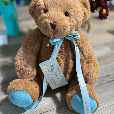 Teddy Bear Urn Custom Ribbon Urns for Human Ashes Huggable Urn Urn for ...