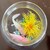 Firefly Axolotl, Axolotl, Silicone Axolotl, Squishy, Squishy Animal ...