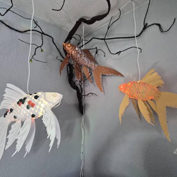 3-pack Paper Koi Lantern: DIY Fish Lamp Kit - Etsy