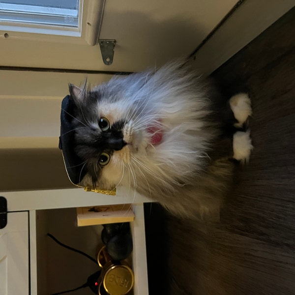 Marine Captain Mini Hat - Cat Captain Hat - Original Design - Pet ...