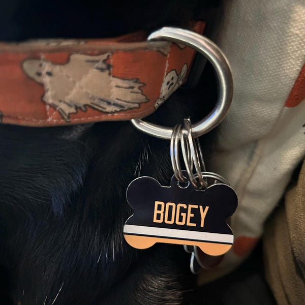 Custom Pittsburgh Penguins Themed Double-sided Dog ID Tag - Mini Bone ...
