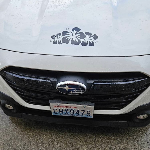 Handicapable Funny Funny Vinyl Decal Stickers Click to Explore Colors ...