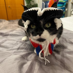 Crochet Pet Pattern, Brunhilde, Valkyries, Wagner Opera, Cat Hat ...