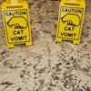 Caution Cat Vomit Floor Sign, Cat Puke Caution Wet Floor Sign, Funny 3D ...