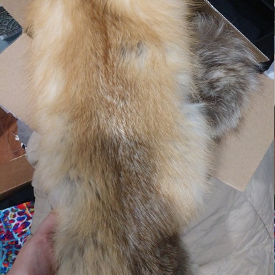 Professionally Tanned 1 Grade Red Fox Hide/pelt - Etsy