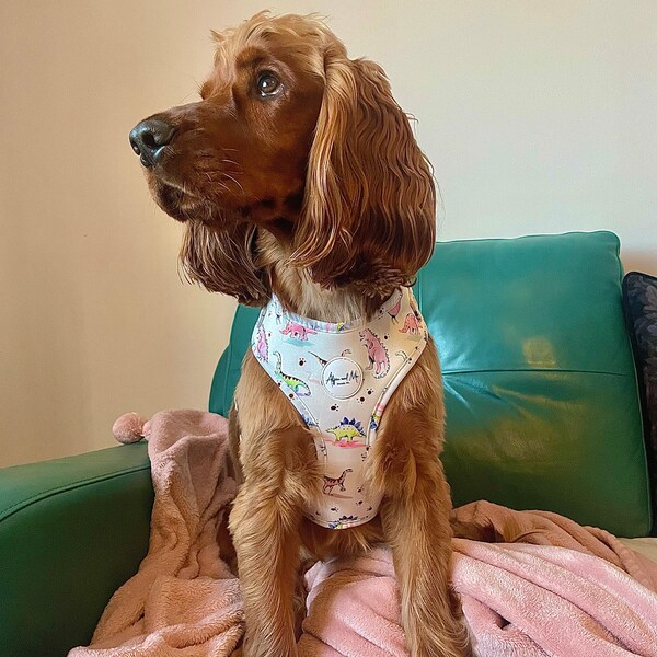Adjustable Dog Harness - Dinosaur, Padded Harness, Dog Vest, Harness ...