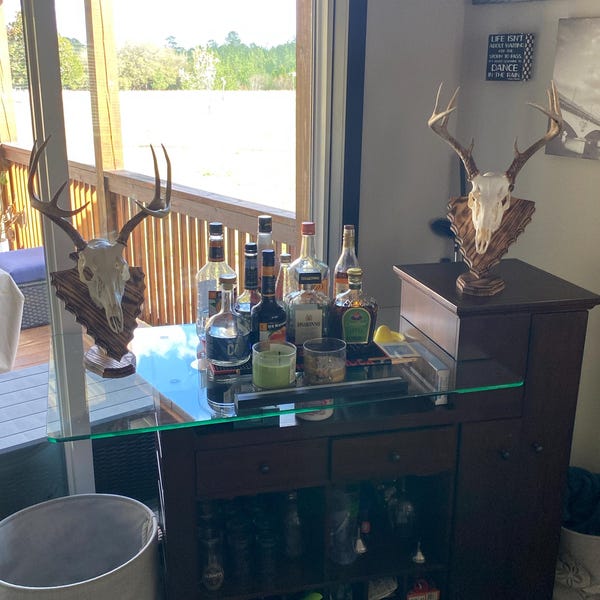 Arrowhead Table Top Deer Euro Skull Mount Display - Etsy