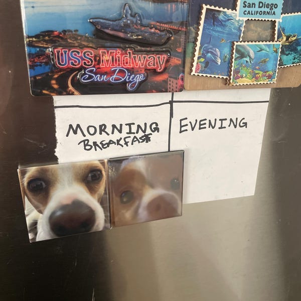 Button Magnets Square Magnets Fridge Custom Photo Magnet 2x2 Fridge ...