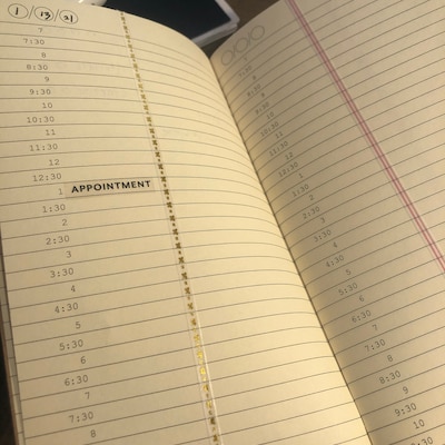 TIMED DAILY Schedule Planner Traveler's Notebook Insert Choice of 23 ...