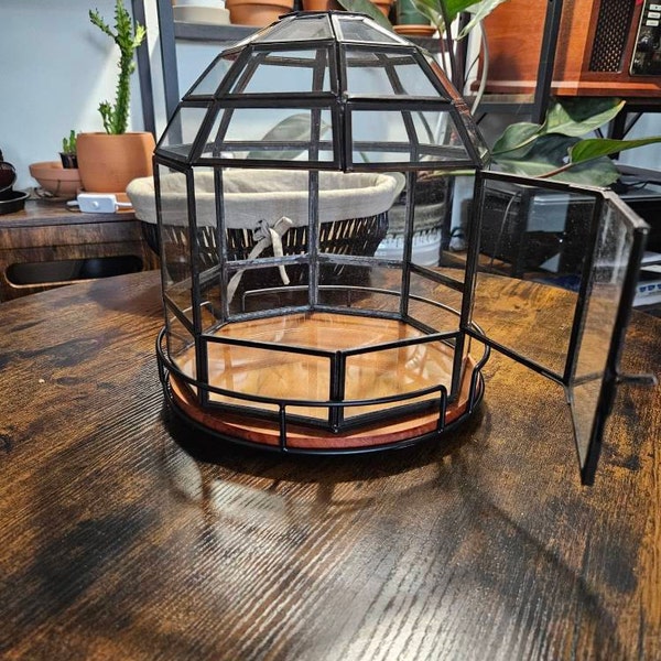 UB Extra Large Terrarium, Glass and Steel, Perfect For: Indoor Garden ...