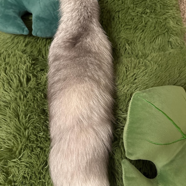 Eco Friendly Arctic Fox Tails - Etsy