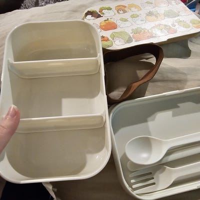 Bento Lunch Box Cats Playing in the Garden - Etsy