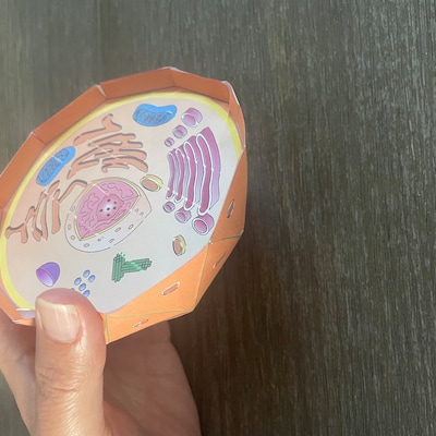 DIY 3D Paper Cells Models, 3D Paper Animal Cell, Paper Plant Cell, Coloring Cells, Fill in the ...