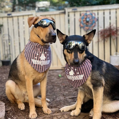 CHB Shirts, Percy Jackson, PJO, Made-to-order - Etsy