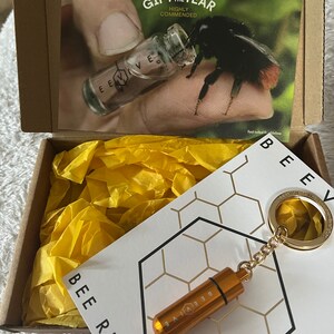 The Original Bee Revival Kit Black Edition - Etsy